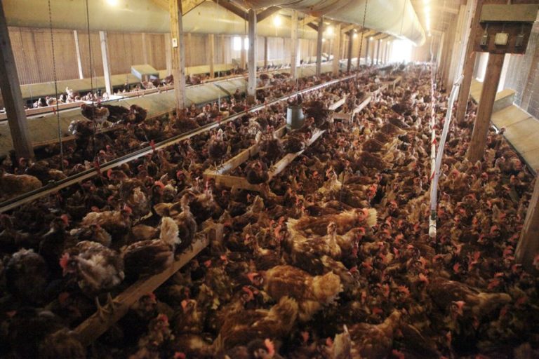 Top 10 Ridiculous Examples of Corporate Greed - Toptenz.net