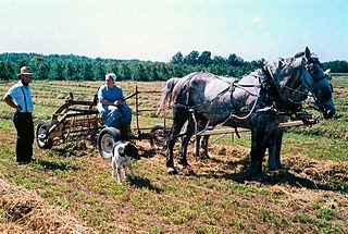 10 Interesting Facts About the Amish - Toptenz.net