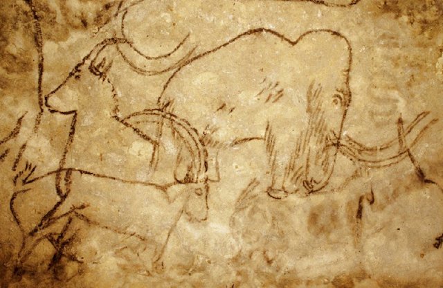 10 Things You Probably Didn't Know About Mammoths - Toptenz.net
