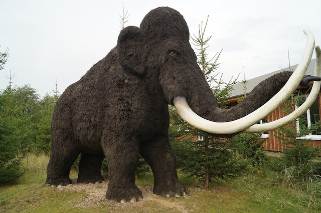 10 Things You Probably Didn't Know About Mammoths - Toptenz.net