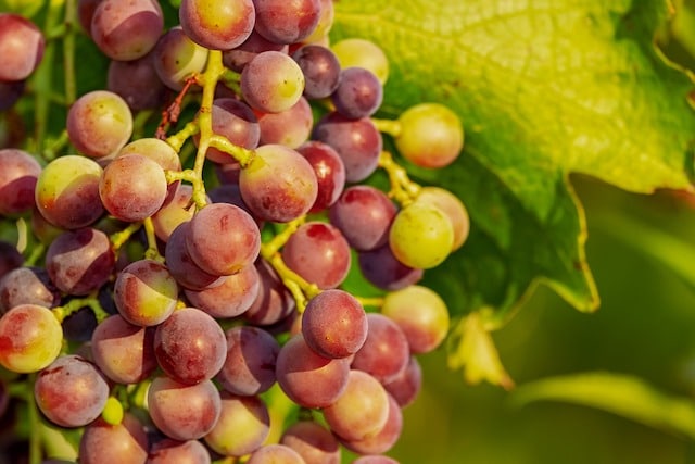 10 Unusual Christmas Traditions From Around the World - Toptenz.net