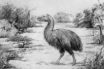 10 Horrific Extinct Monster Birds - Toptenz.net