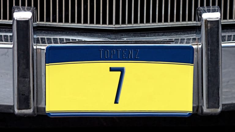 10 Surprising Status Symbols From Throughout History - Toptenz.net