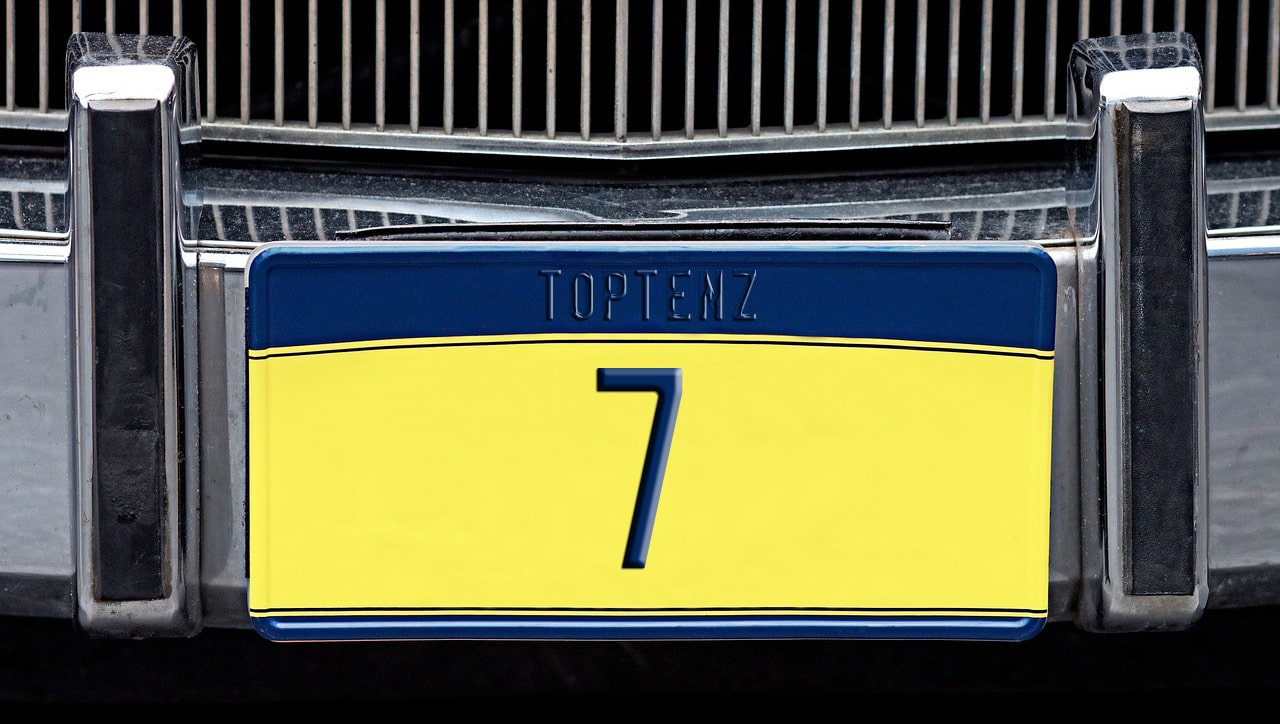 10 Surprising Status Symbols From Throughout History - Toptenz.net