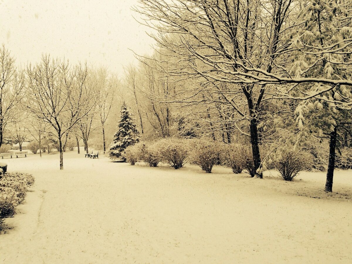 The Worst Winter Storms in American History - Toptenz.net