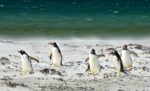 10 Bizarre Molecules You Need to Know About - Toptenz.net
