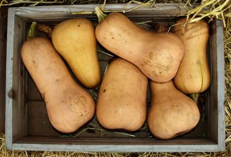 10 Surprising Origins of Fruit and Vegetable Names - Toptenz.net