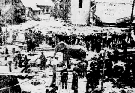 10 Incredibly Bizarre Animal Deaths - Toptenz.net