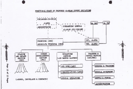 10 Daring Covert Military Operations From History - Toptenz.net